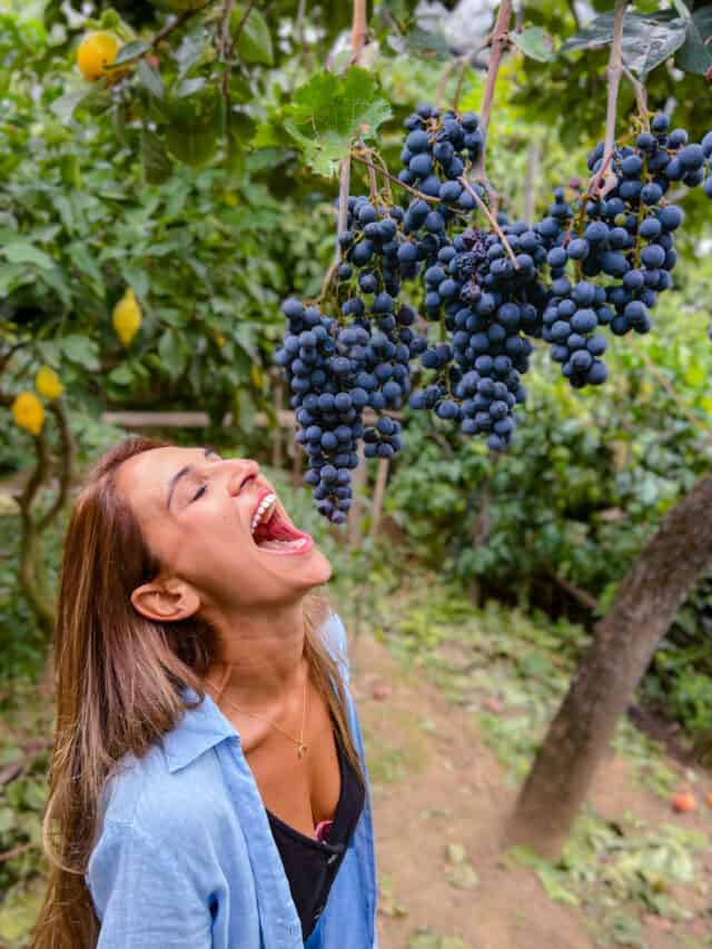 About - Cooking With Ayeh