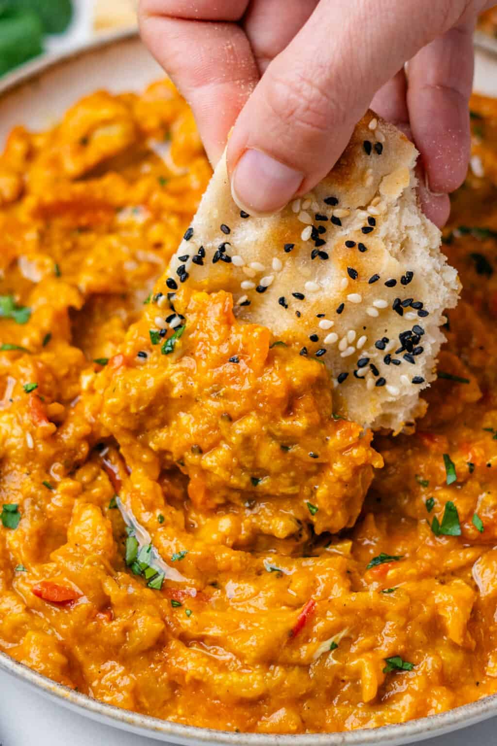 Mirza Ghasemi (Persian Eggplant Tomato Dip) (Persian Smoky Eggplant ...