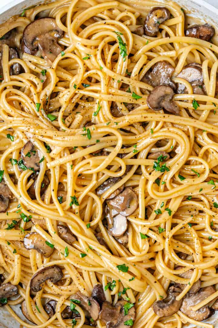 Miso Pasta - Creamy Delicious (Ready in 20 minutes) - Cooking With Ayeh